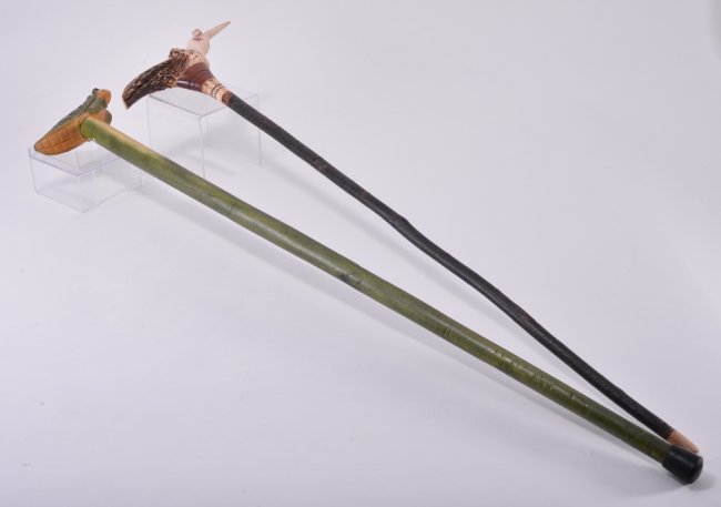 Carved & Painted Turtle & Bird Walking Stick Canes : Lot 4