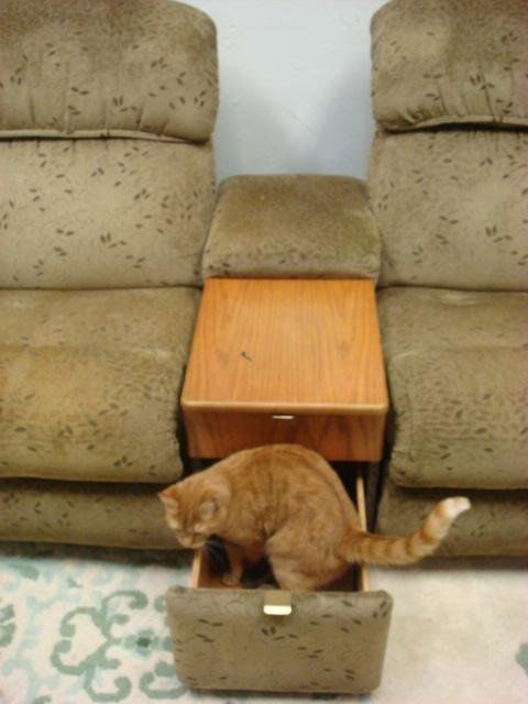 Double LAZY-BOY Recliners with Center Console: : Lot 237