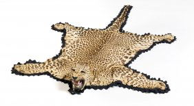 Himalayan Snow Leopard Skin Rug : Lot 19