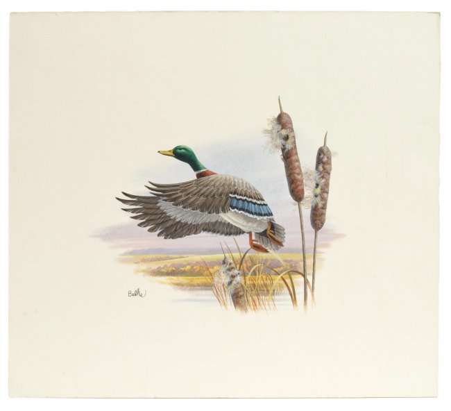 DON BALKE DUCK PAINTING, OKLAHOMA MALLARD : Lot 416