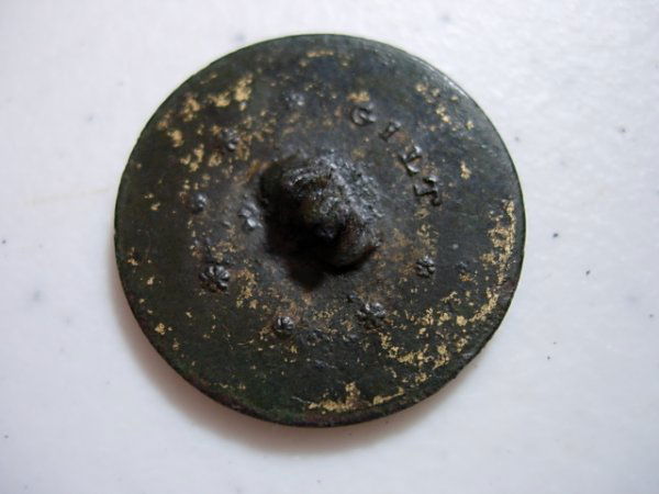 REVOLUTIONARY WAR GEORGIA RATTLESNAKE BUTTON : Lot 171