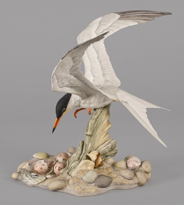 Boehm porcelain Common Tern bird sculpture. : Lot 1066