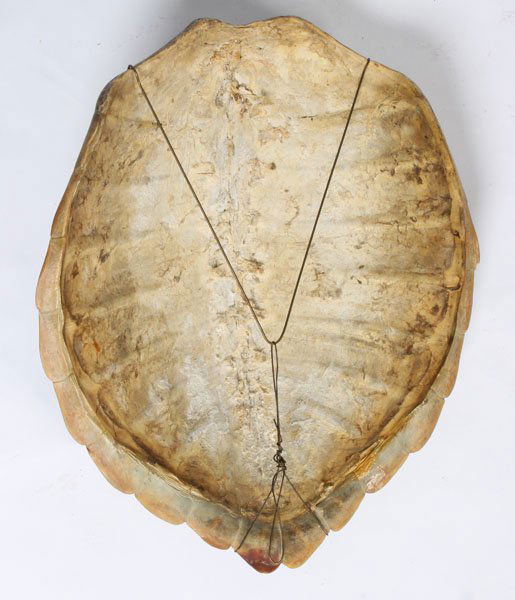 289: LARGE TORTOISE SHELL MOUNTED WALL DECORATION : Lot 289