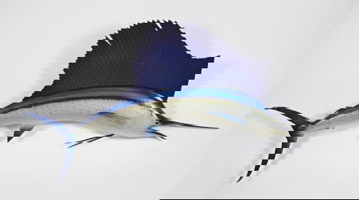 728: Large Wall-Mounted Trophy Swordfish, : Lot 728